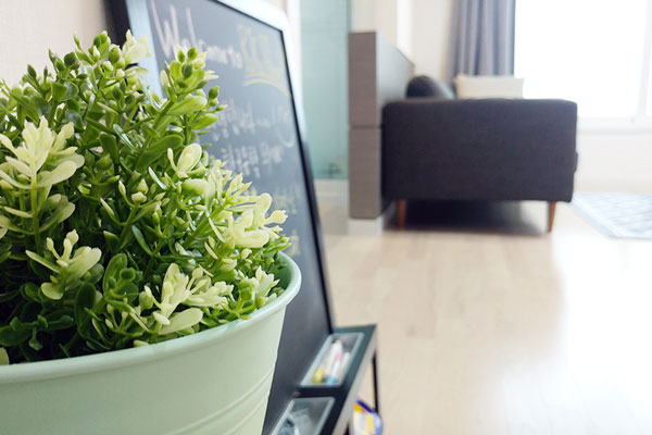 How to Use “이다” in Korean | Copula Particle Guide